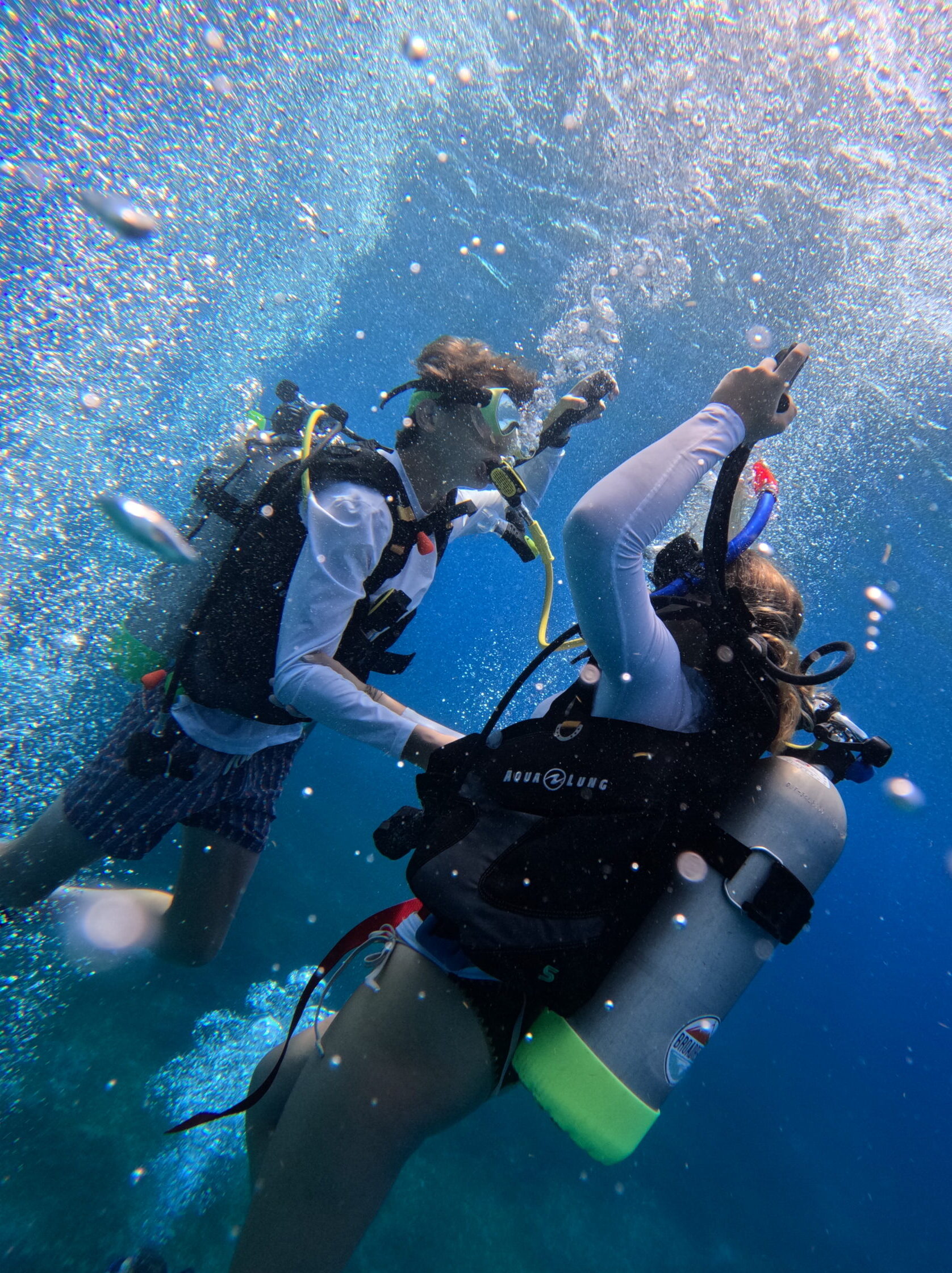 11 Best Cozumel Dive Shops 2023