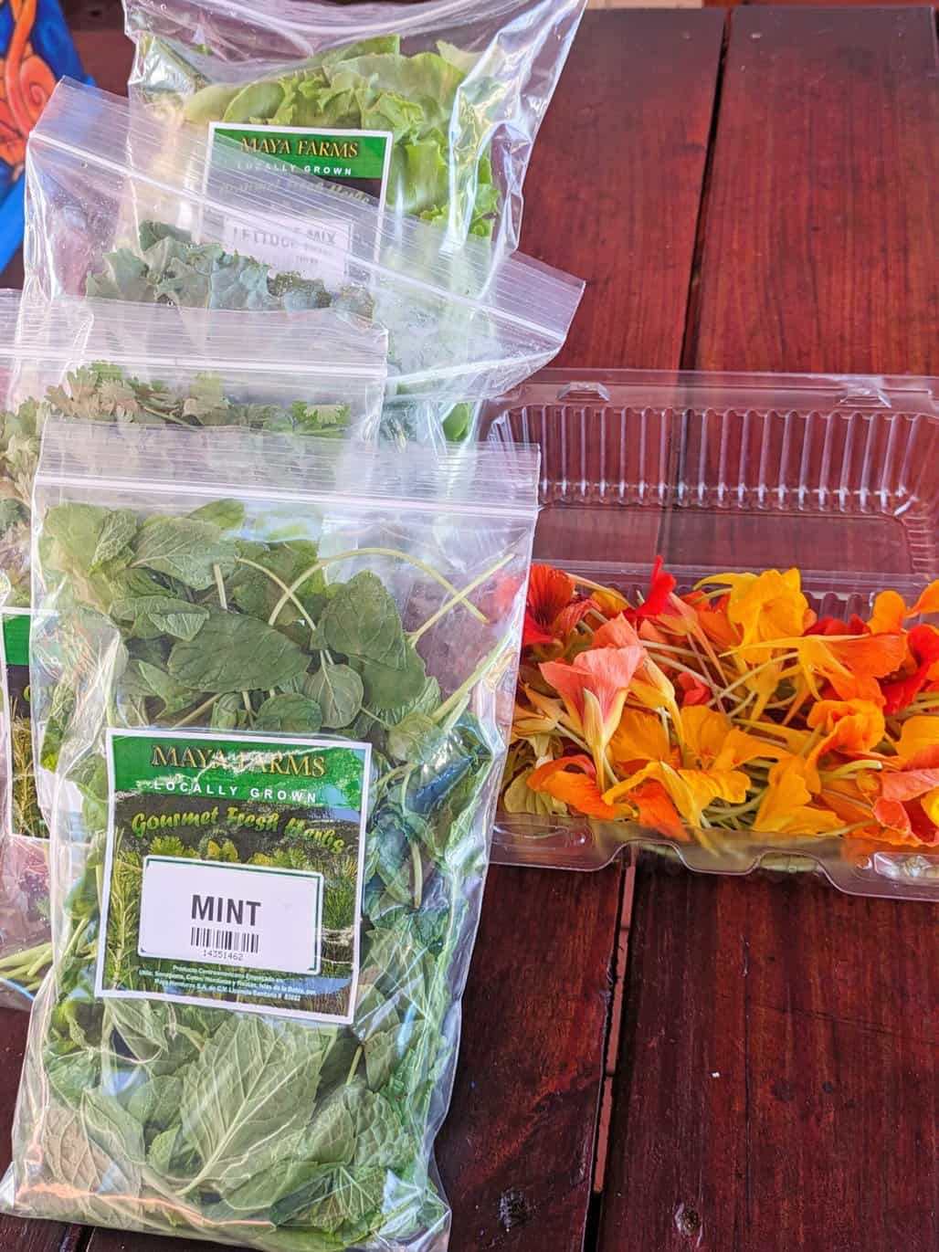 Roatan Grocery Stores Guide + Fresh Food Secrets from a Local! 2025